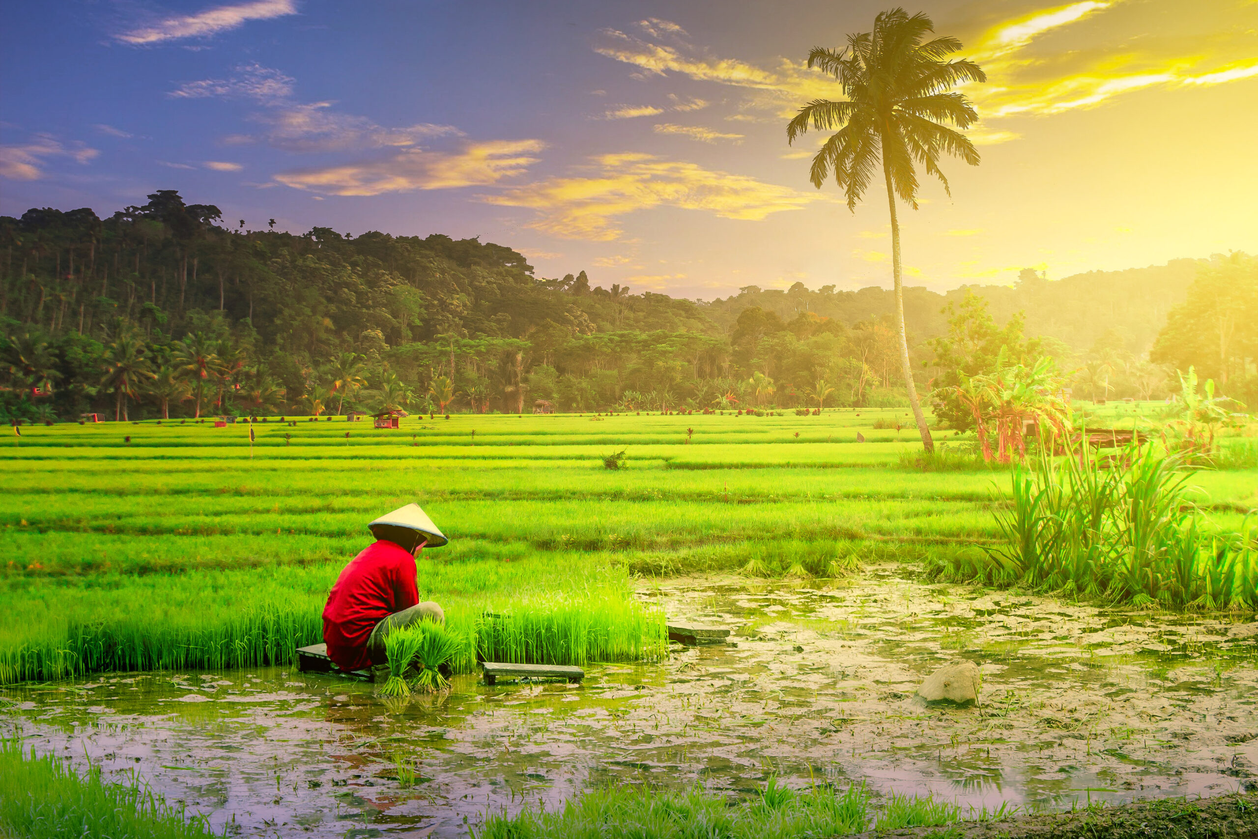 Service In Asia - Faeger Co. Ltd.